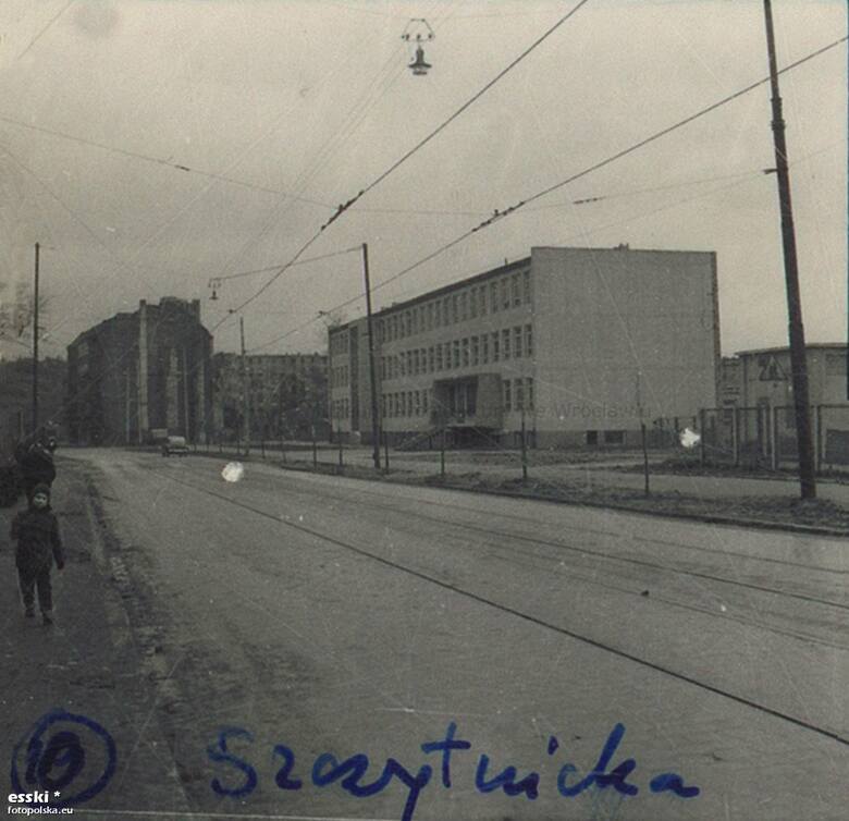 50-lecie XIV LO we Wrocławiu. Tłumy absolwentów na urodzinach ...