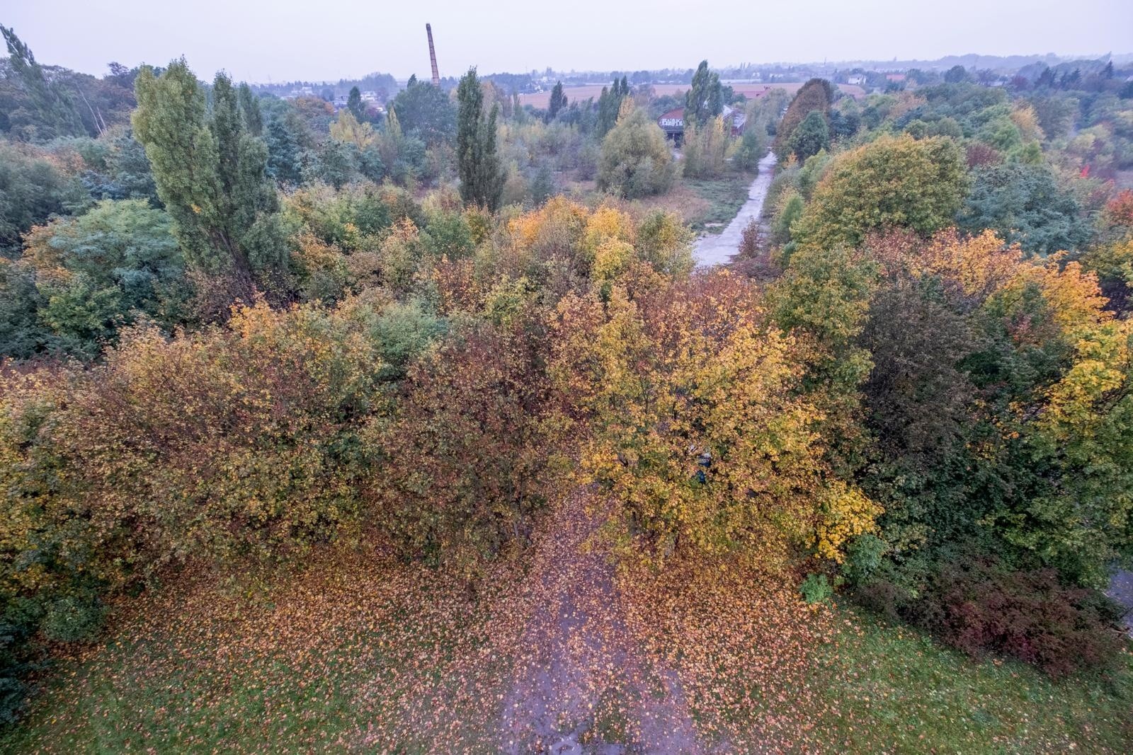 Poznańskie Szachty nie zostaną zabudowane! Miejscy urbaniści ...
