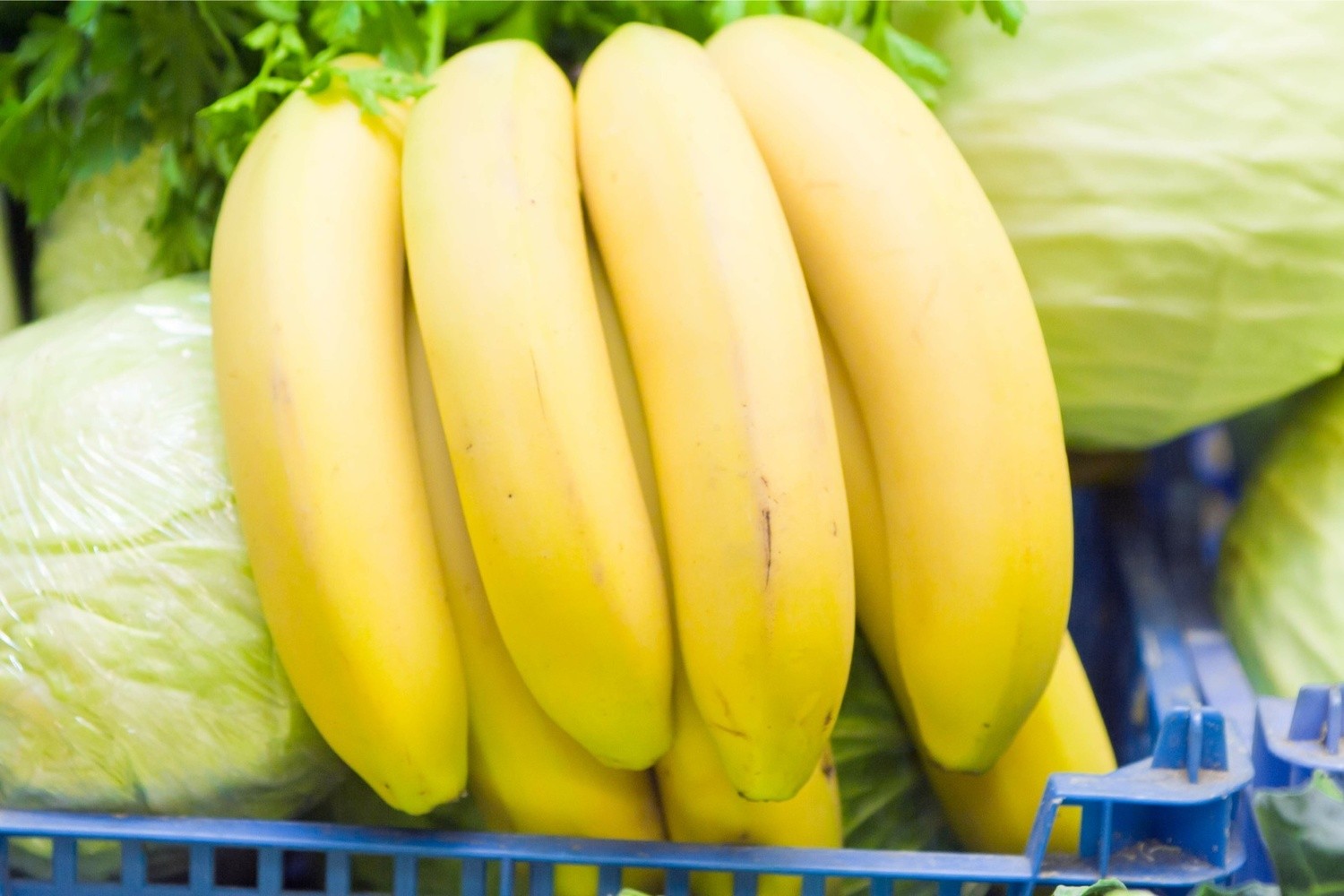 Ile Kalorii Ma Piwo Ile Kalorii Ma Banan A Ile Przeci tny Polski Ile Kalorii Ma Piwo Ile Kalorii Ma Banan A Ile Przeci tny Polski