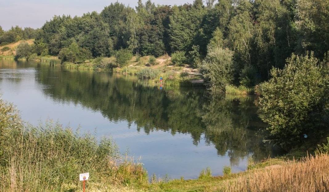 Tak wygląda plaża naturystów na kryspinowskim zalewie [ZDJĘCIA ...